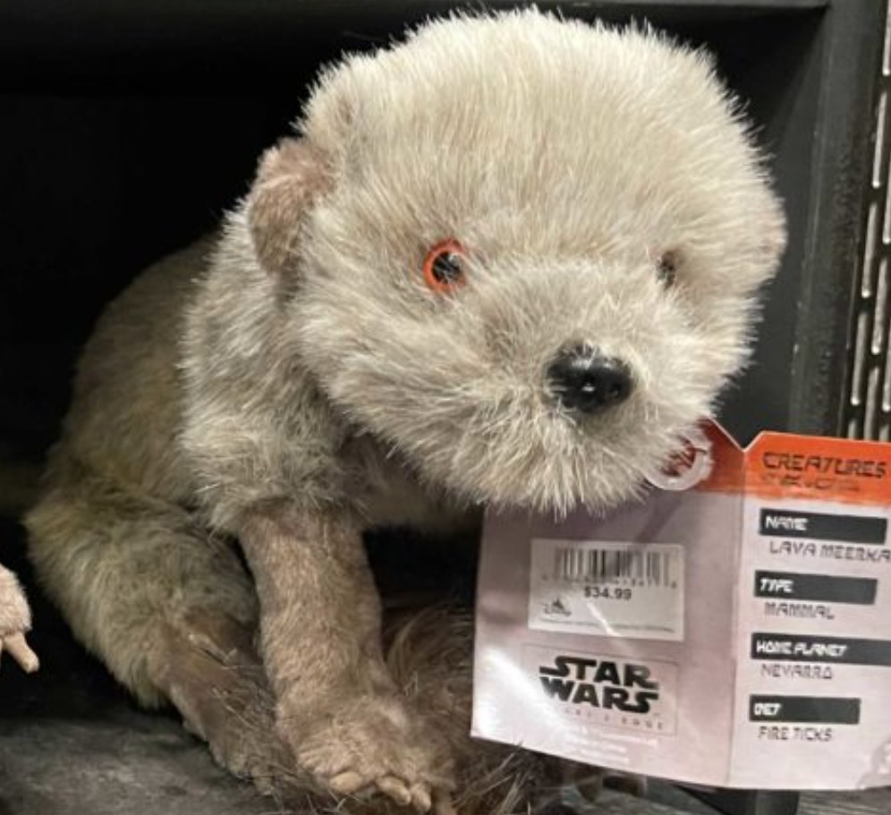 Lava Meerkat - Galaxy's Edge (Creature Stall) Basic Plush