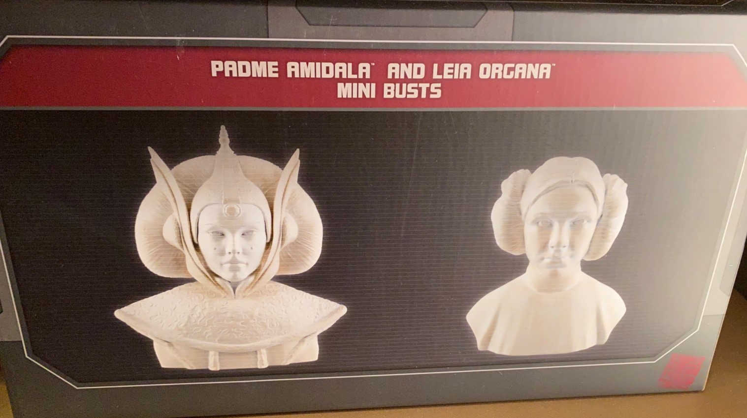 Princess Leia | Padme Amidala and Leia Organa - Galaxy's Edge (Dok ...