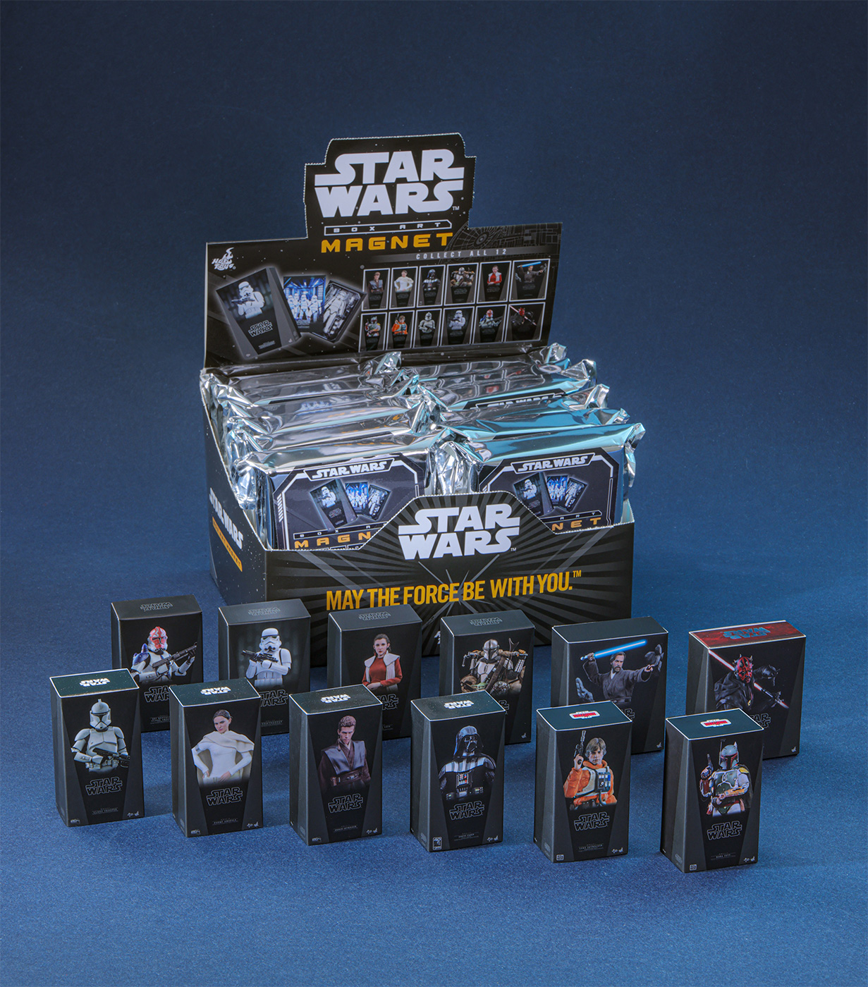 Darth Maul | Sixth Scale Packaging - Hot Toys Mystery Bag , Celebration ...